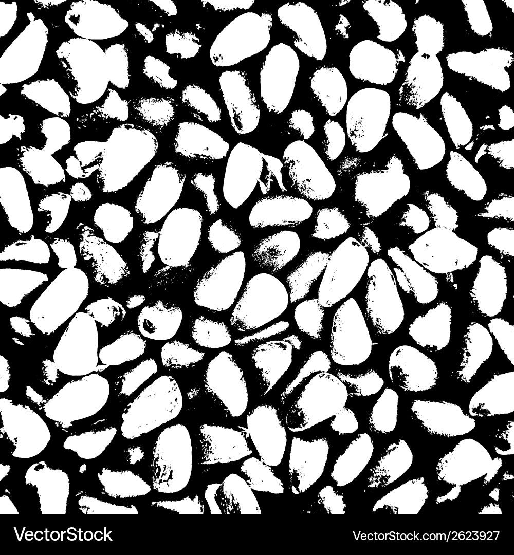 Nuts texture Royalty Free Vector Image - VectorStock