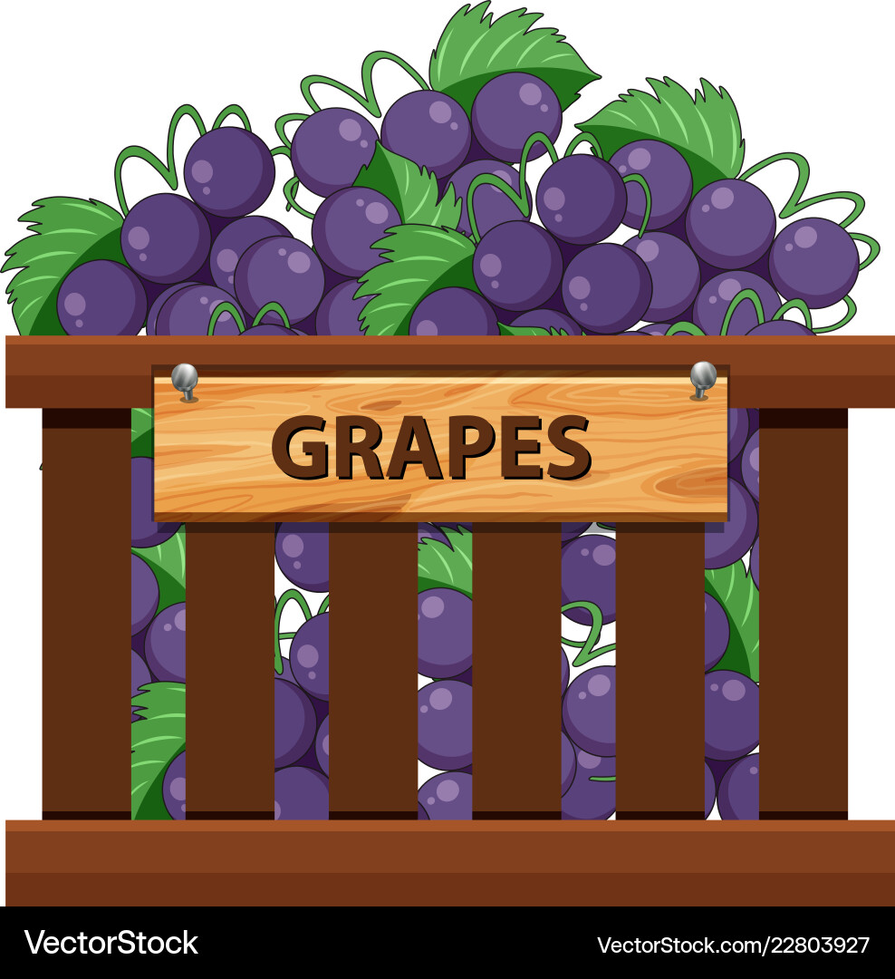 Wooden crate of grape Royalty Free Vector Image