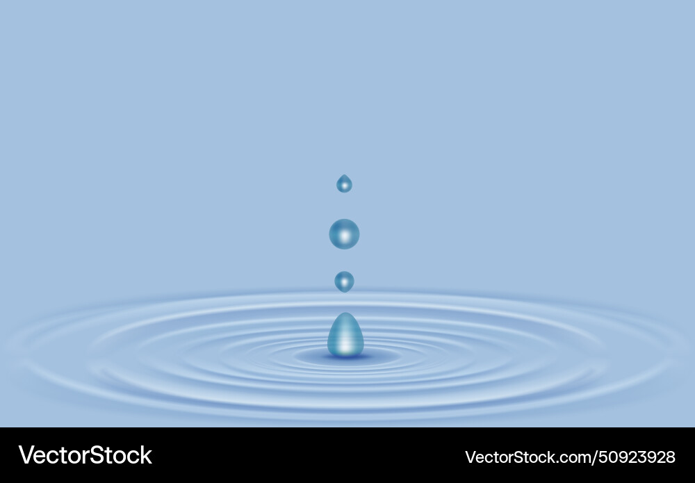 Circles on the water Royalty Free Vector Image