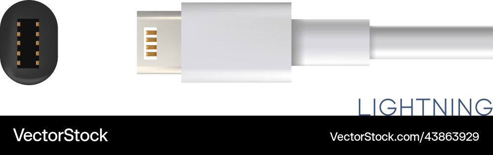 Lightning type of connectors for gadgets Vector Image