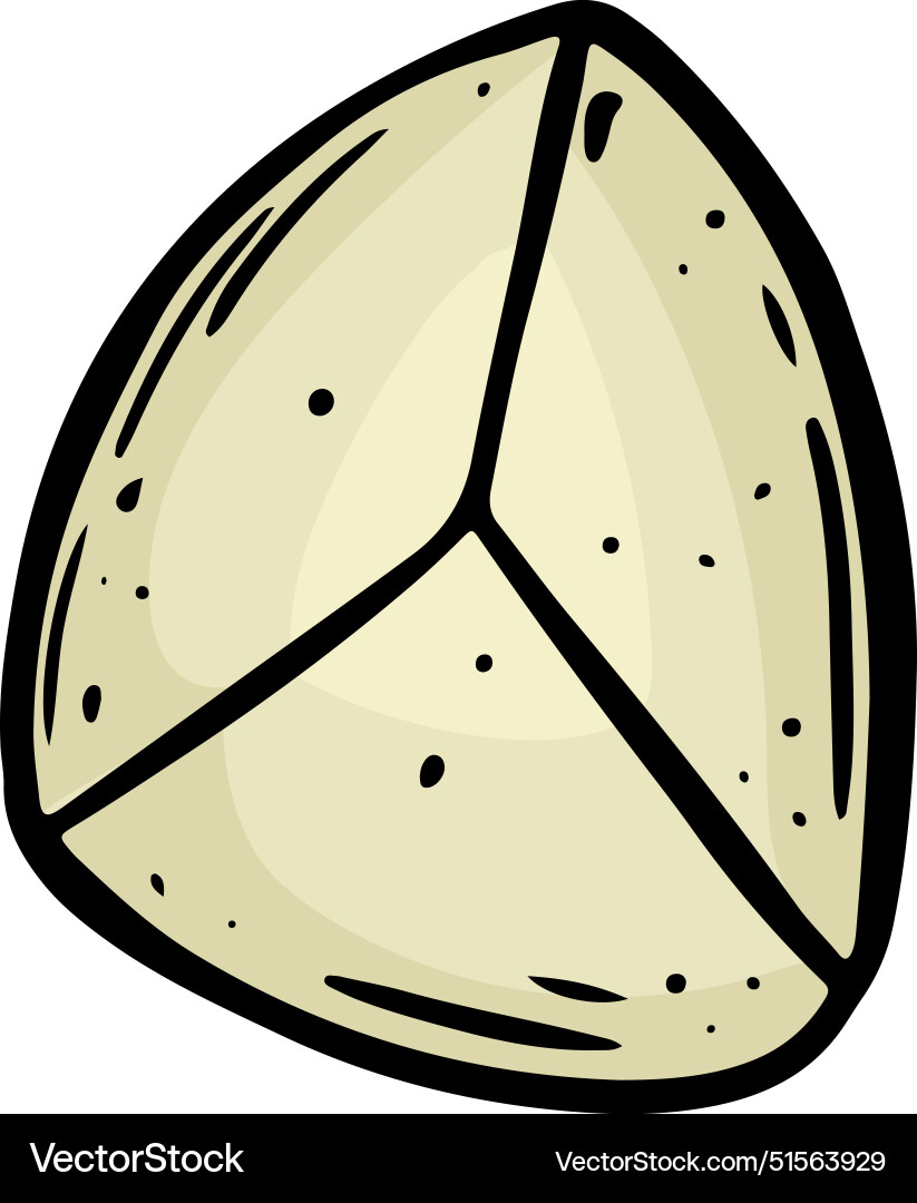 Potato slice isolated on white background Vector Image