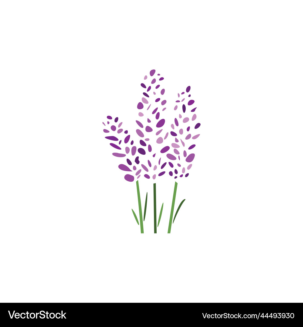 Lavender plant logo icon Royalty Free Vector Image