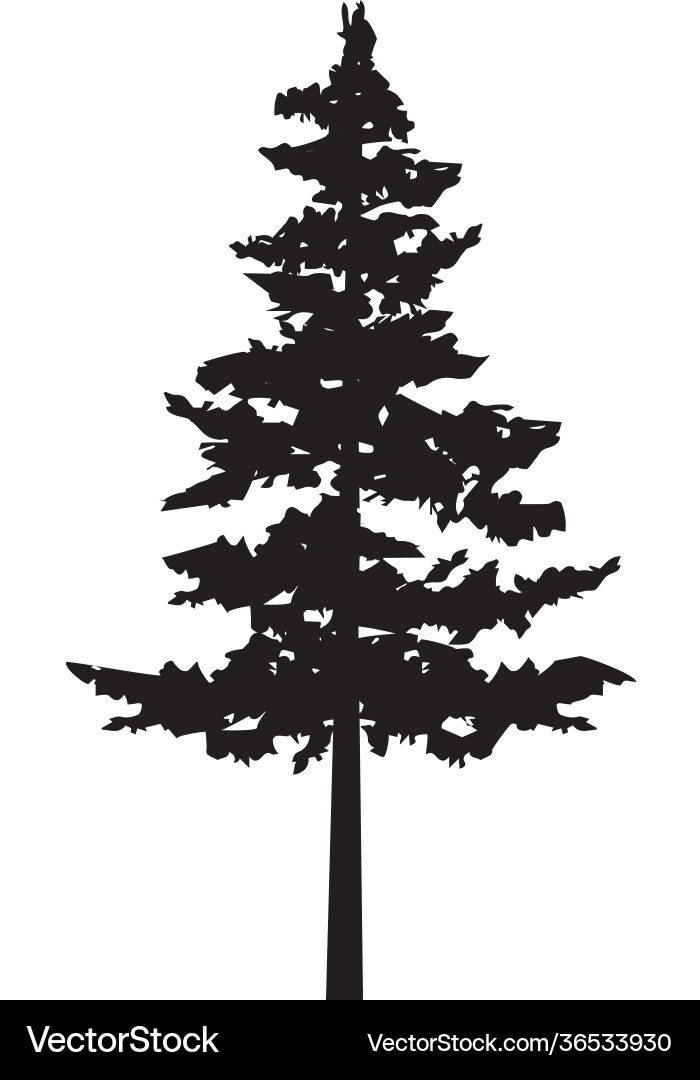 Pine tree Royalty Free Vector Image - VectorStock