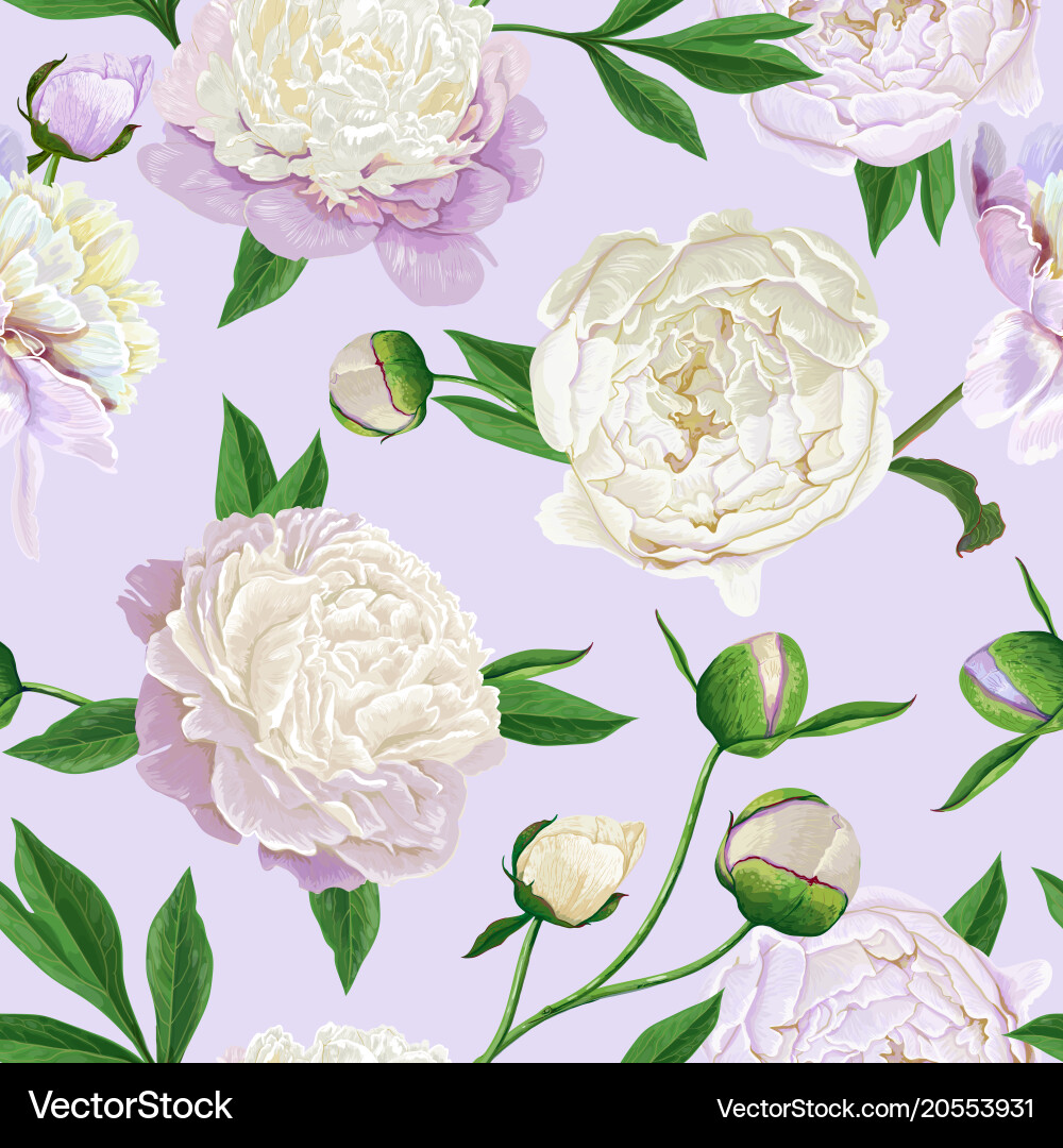Floral seamless pattern with white peonies spring Vector Image