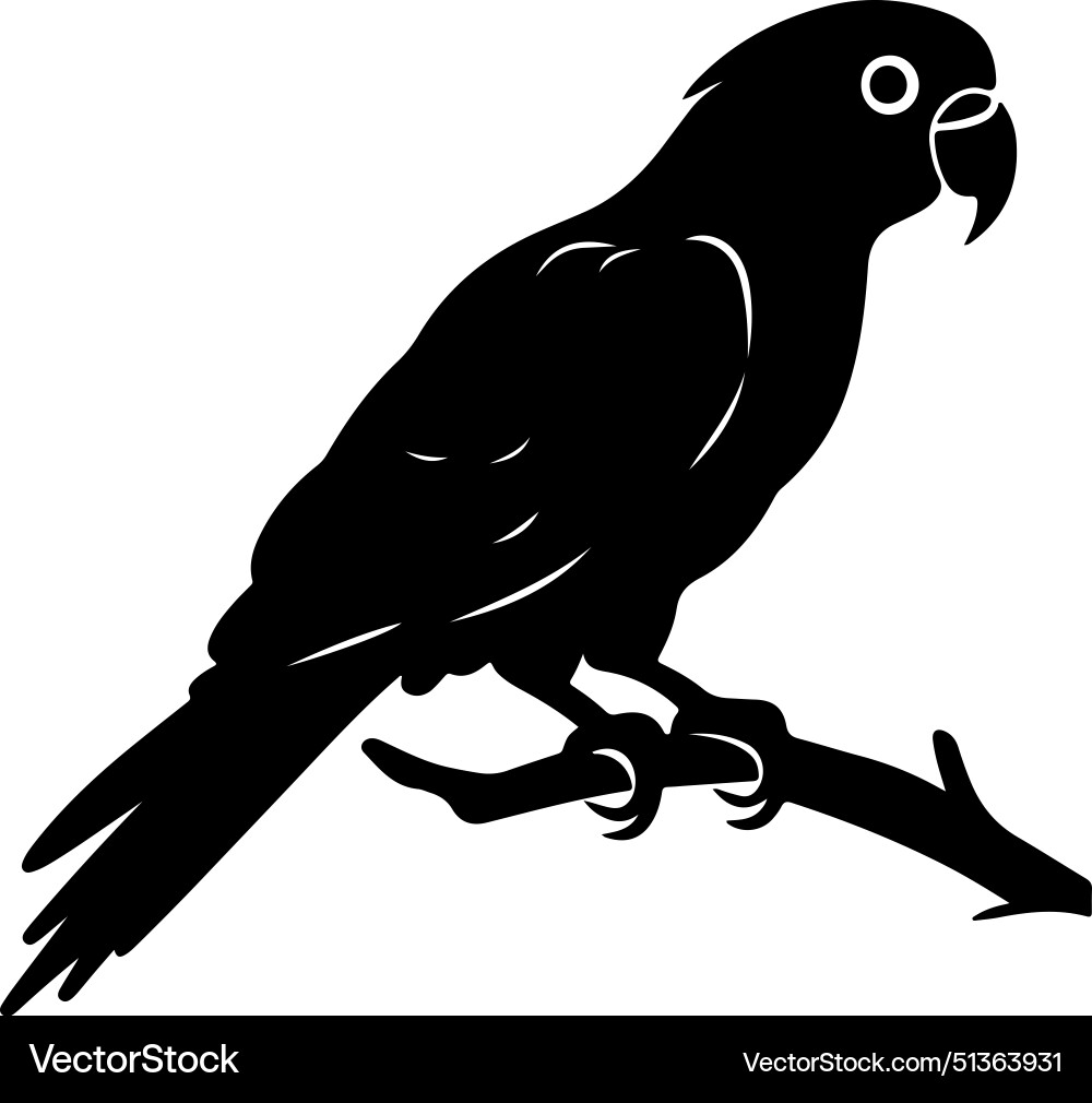 Parrot silhouette white background Royalty Free Vector Image