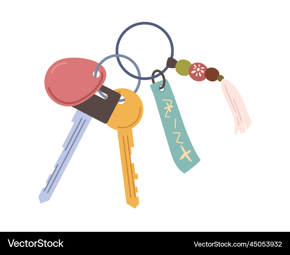 Door keys on keyrings apartment or flat keychains Vector Image