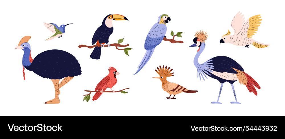 Exotic tropical birds set Royalty Free Vector Image