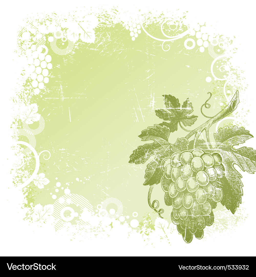 Hand drawn bunch of grapes Royalty Free Vector Image