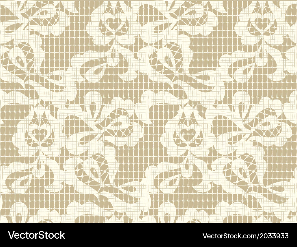 Lace fabric seamless pattern Royalty Free Vector Image