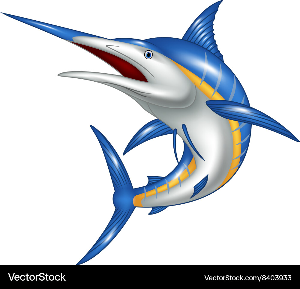 Marlin fish cartoon Royalty Free Vector Image - VectorStock