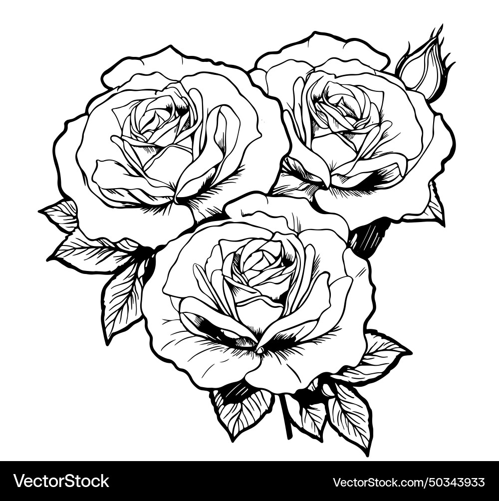 Rose flower sketch design flowers Royalty Free Vector Image