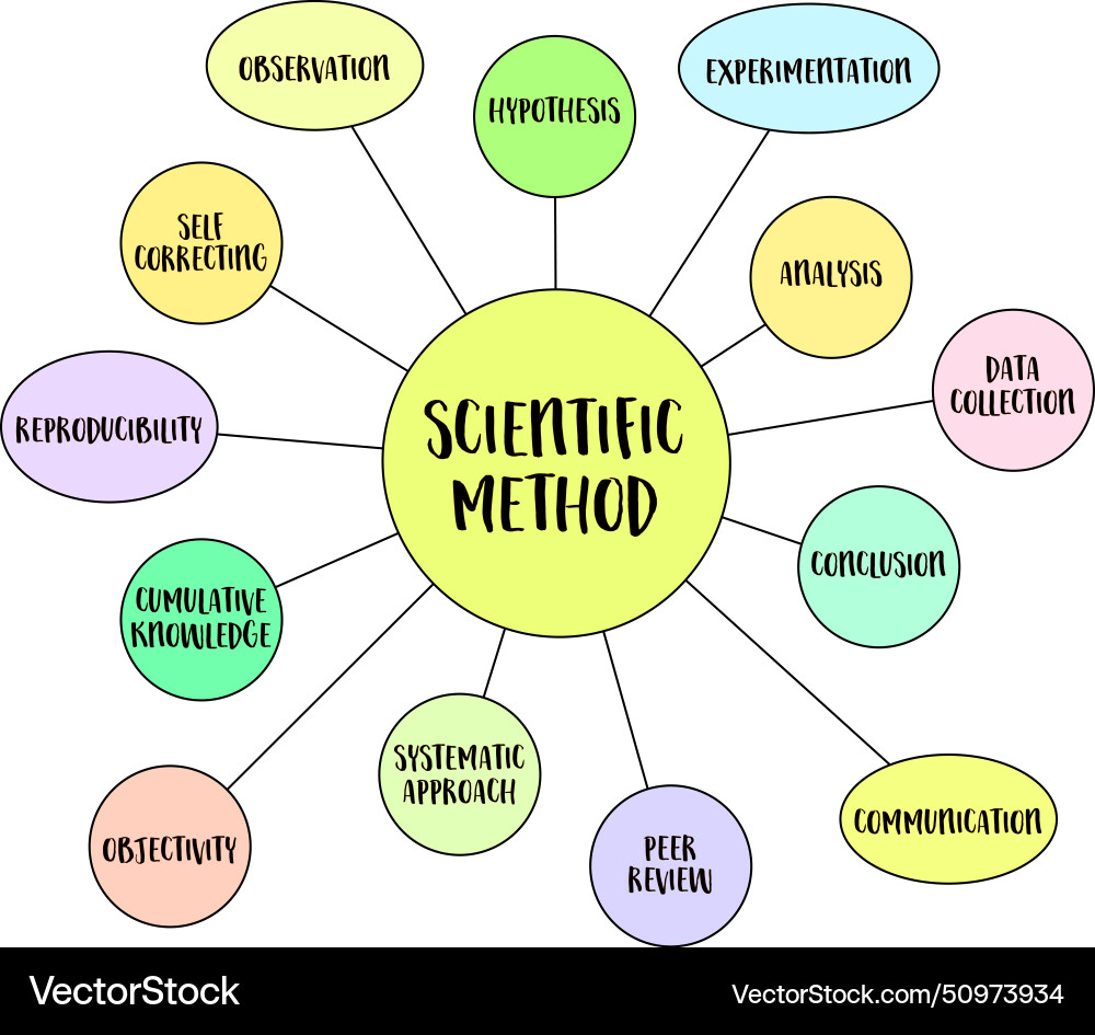 Scientific method infographics or mind map Vector Image