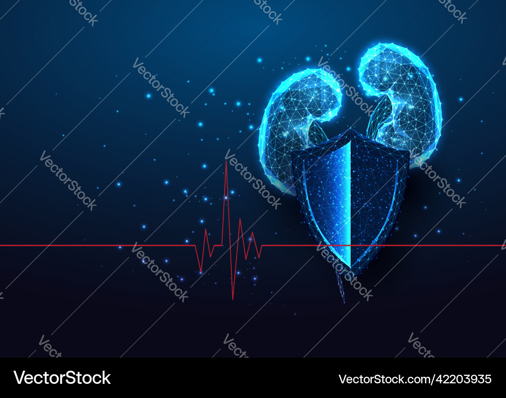 Futuristic kidney protection concept banner Vector Image