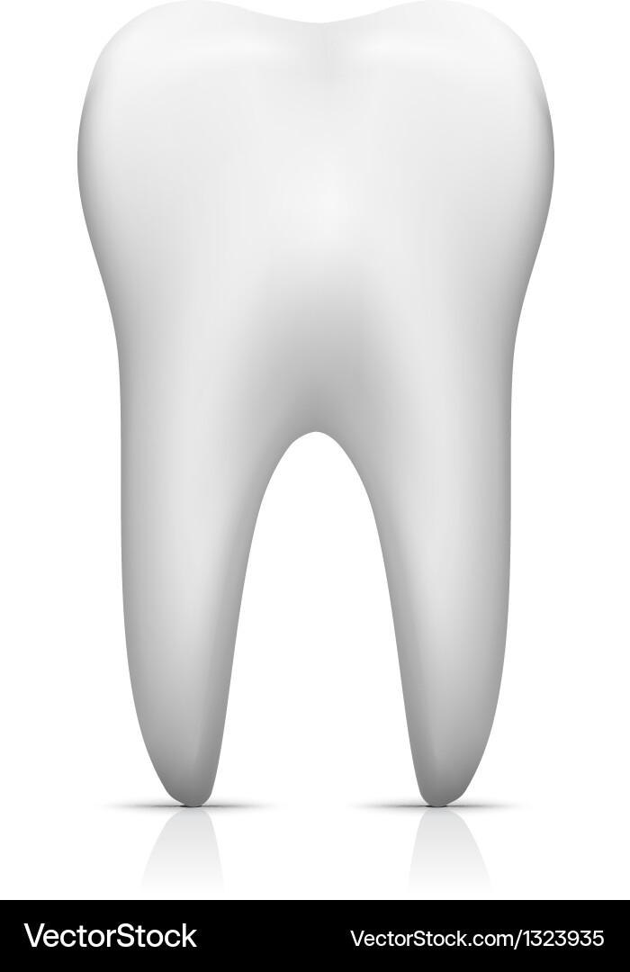 Tooth Royalty Free Vector Image - VectorStock