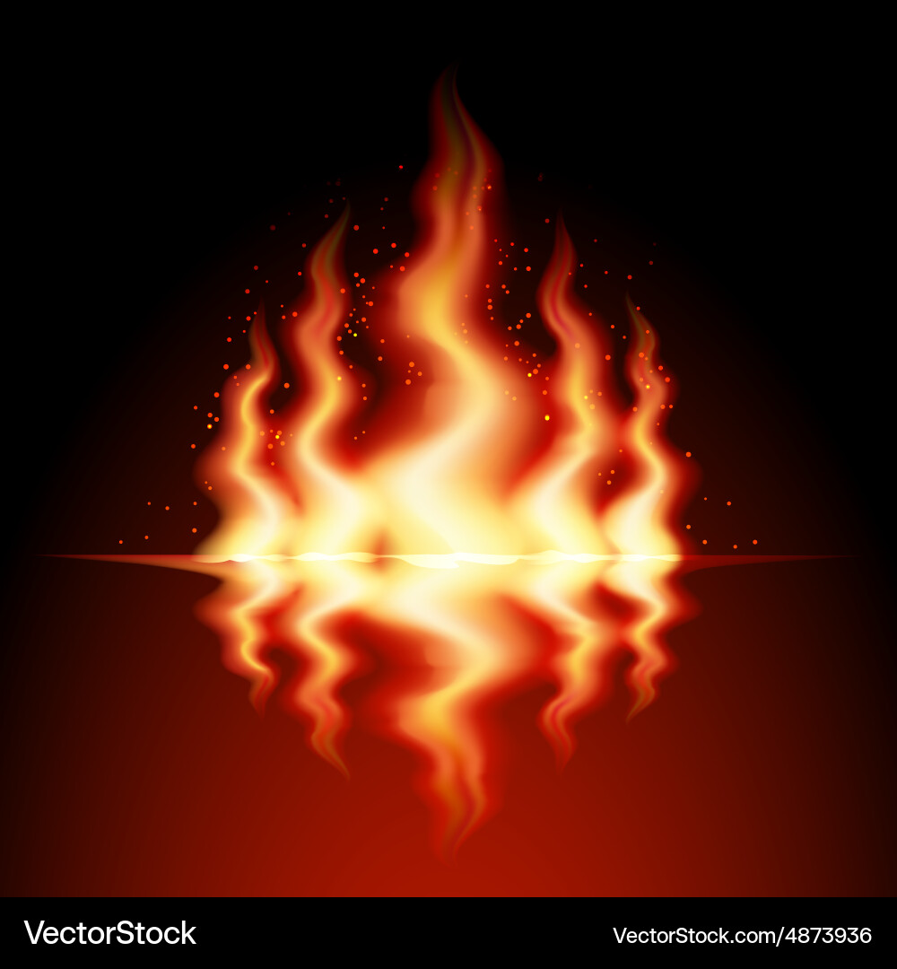 Fire flame Royalty Free Vector Image - VectorStock