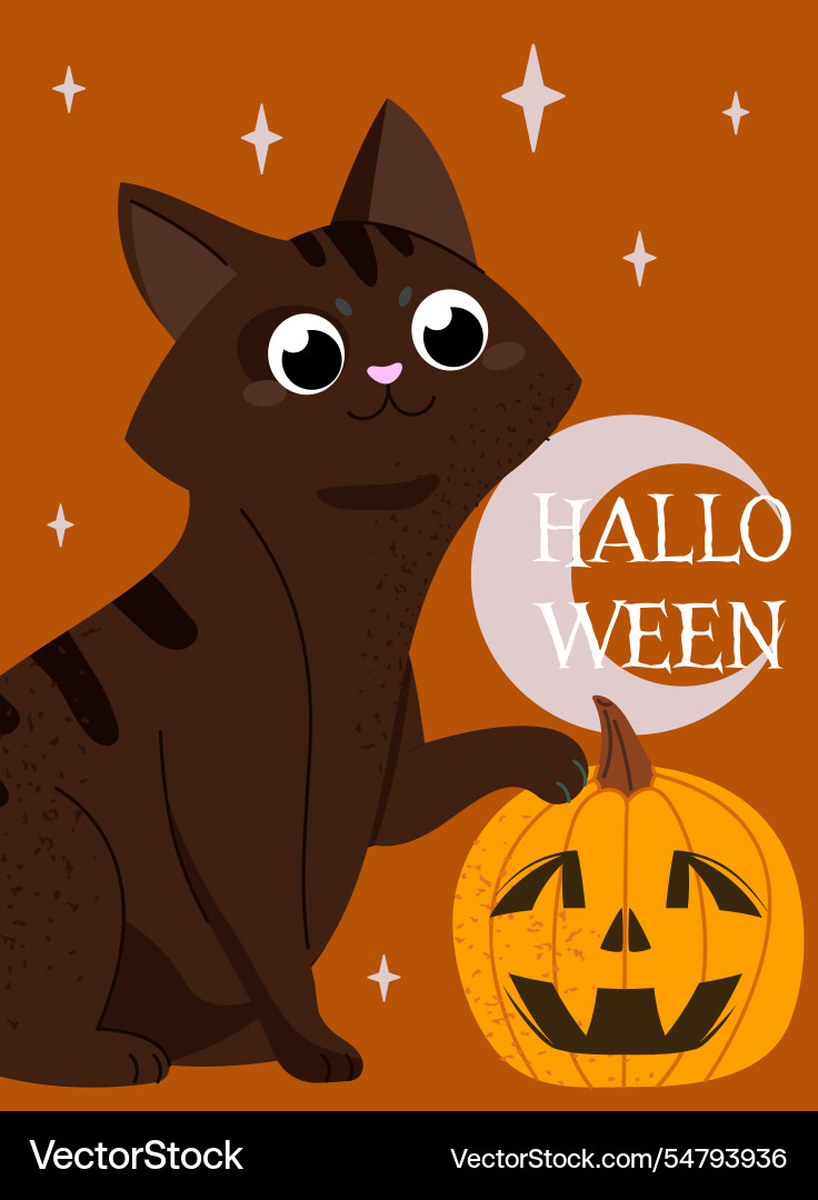 Halloween poster with spider cat play Royalty Free Vector