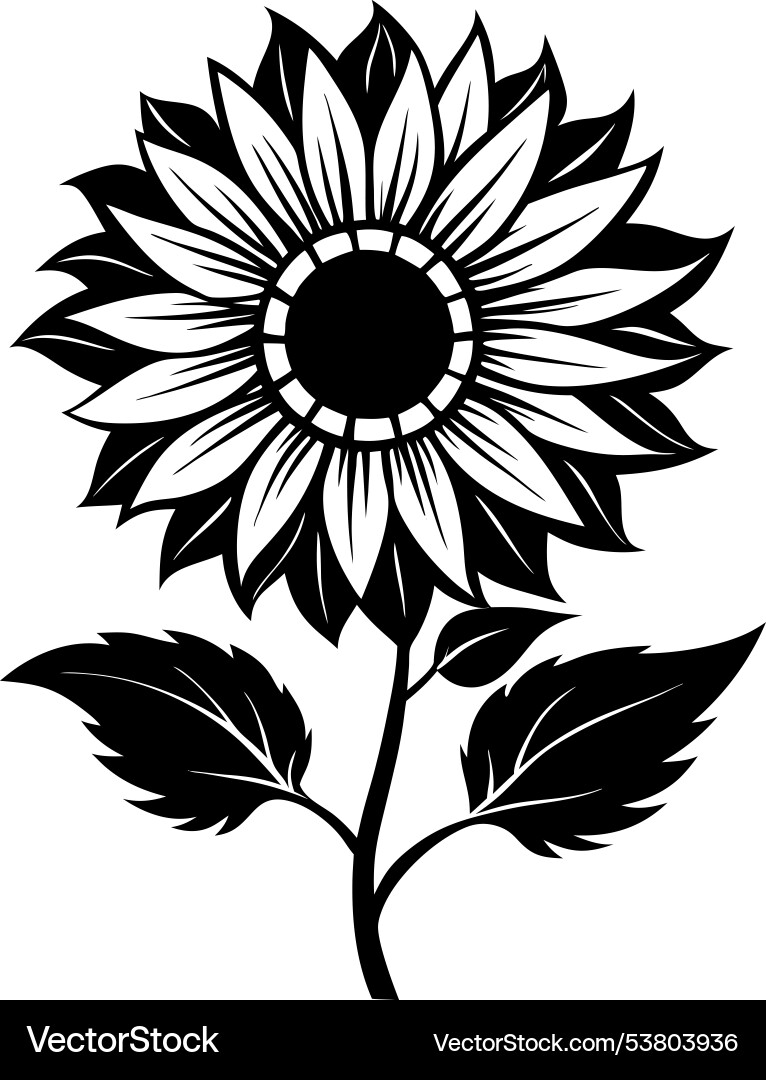Stylized sunflower silhouette design Royalty Free Vector