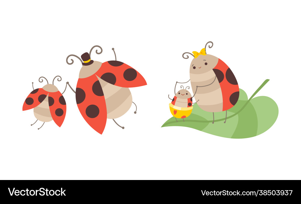 Ladybug families set insect parents Royalty Free Vector