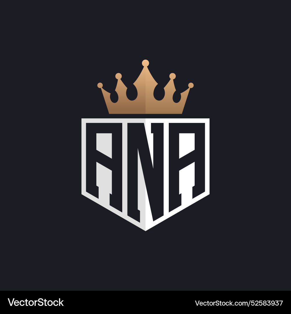 Luxury ana logo with crown elegant initials Vector Image