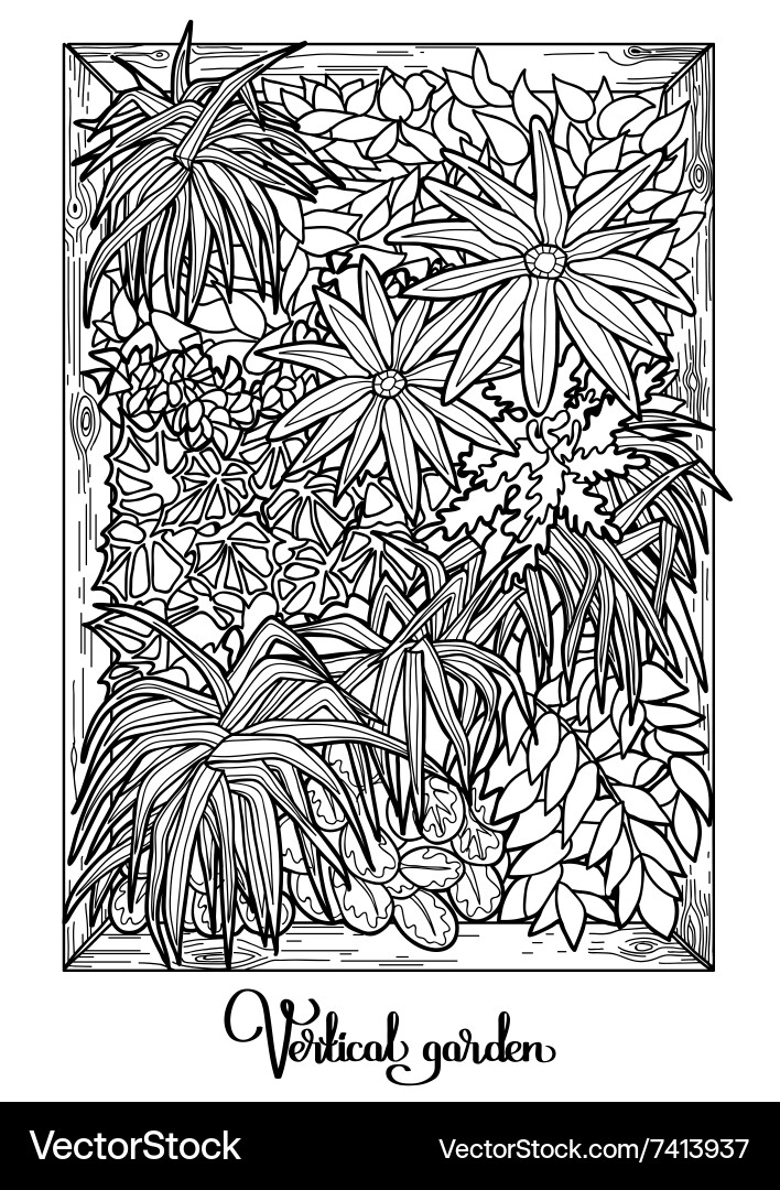 Vertical garden in a line art style Royalty Free Vector