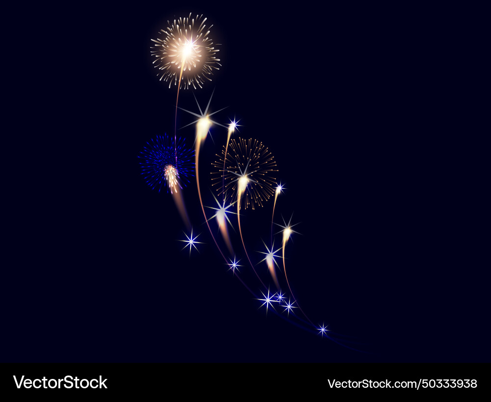 Brightly colorful fireworks on the background Vector Image