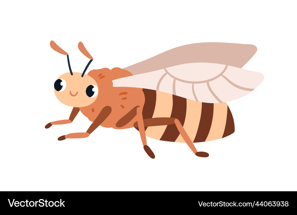 Cute honey bee with funny smiling face expression Vector Image