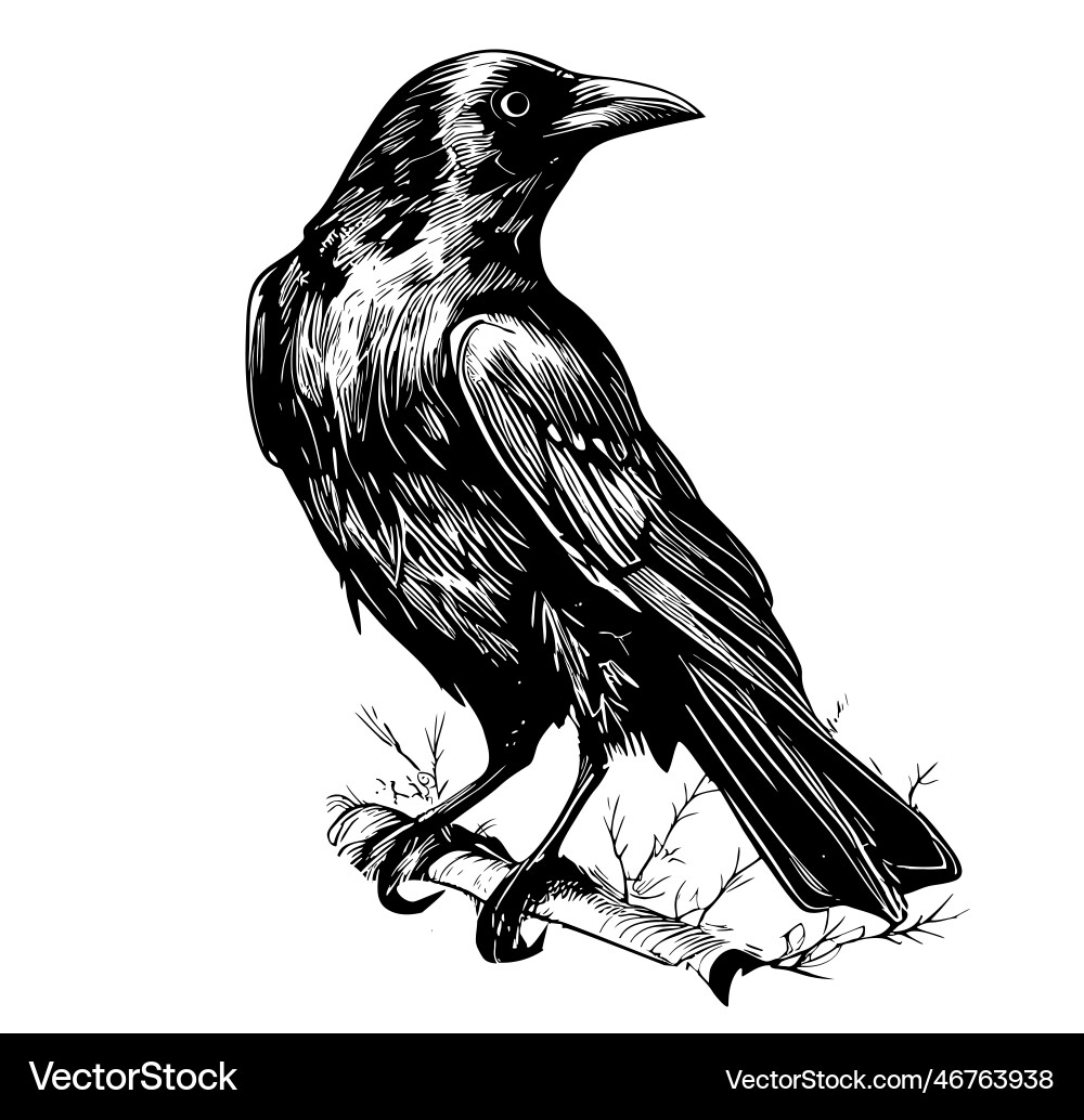 Raven crow hand drawn sketch Royalty Free Vector Image