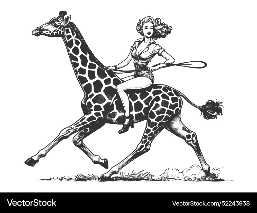 Woman riding giraffe engraving Royalty Free Vector Image