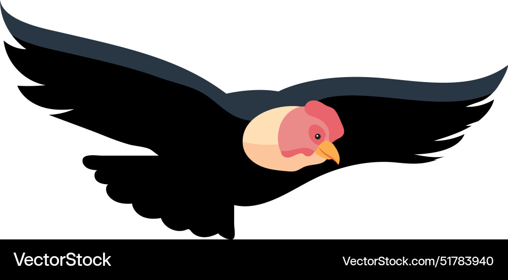 Condor bird flying cartoon Royalty Free Vector Image
