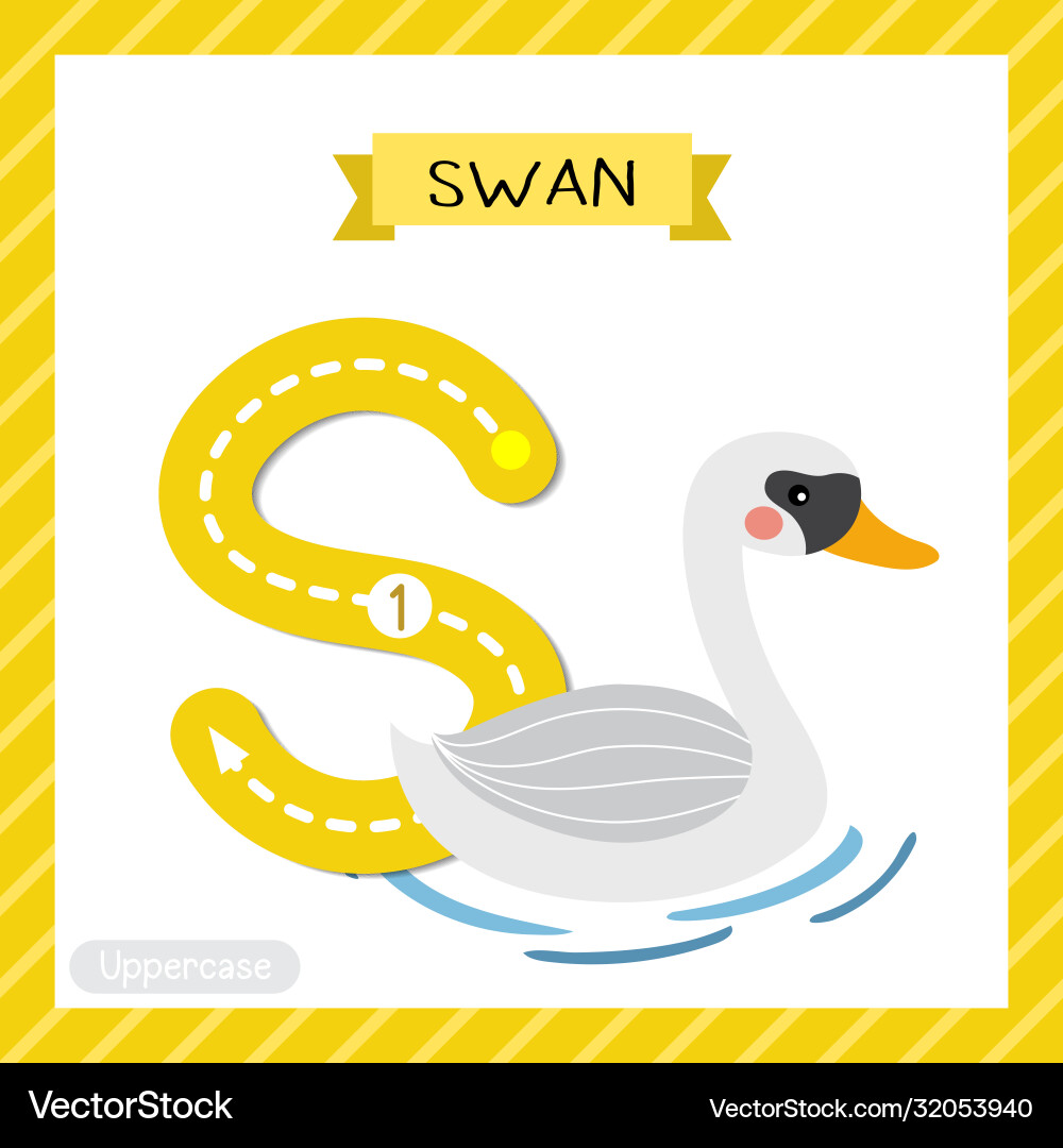 Letter s uppercase tracing swan Royalty Free Vector Image