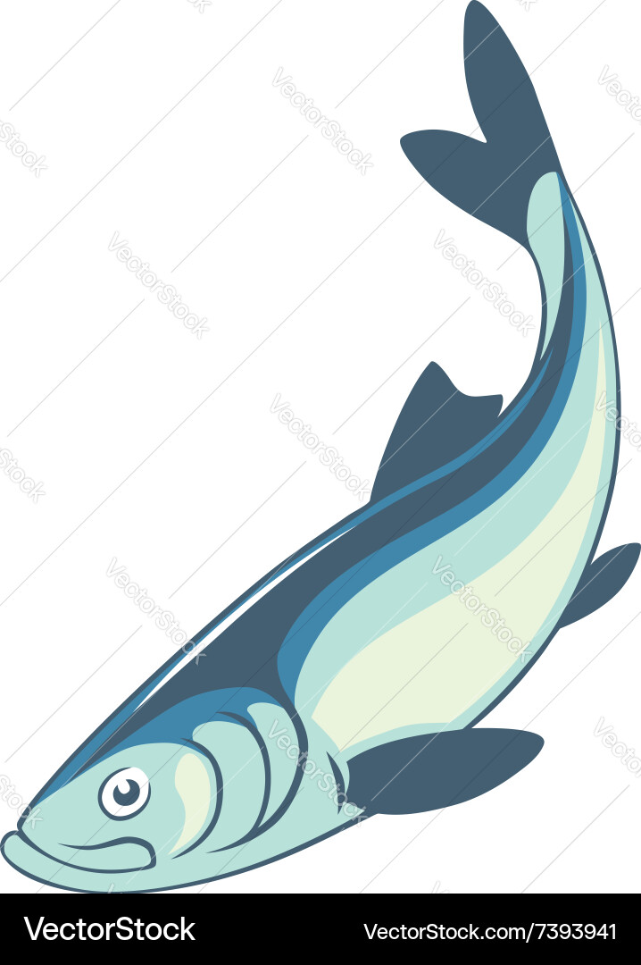 Herring fish Royalty Free Vector Image - VectorStock