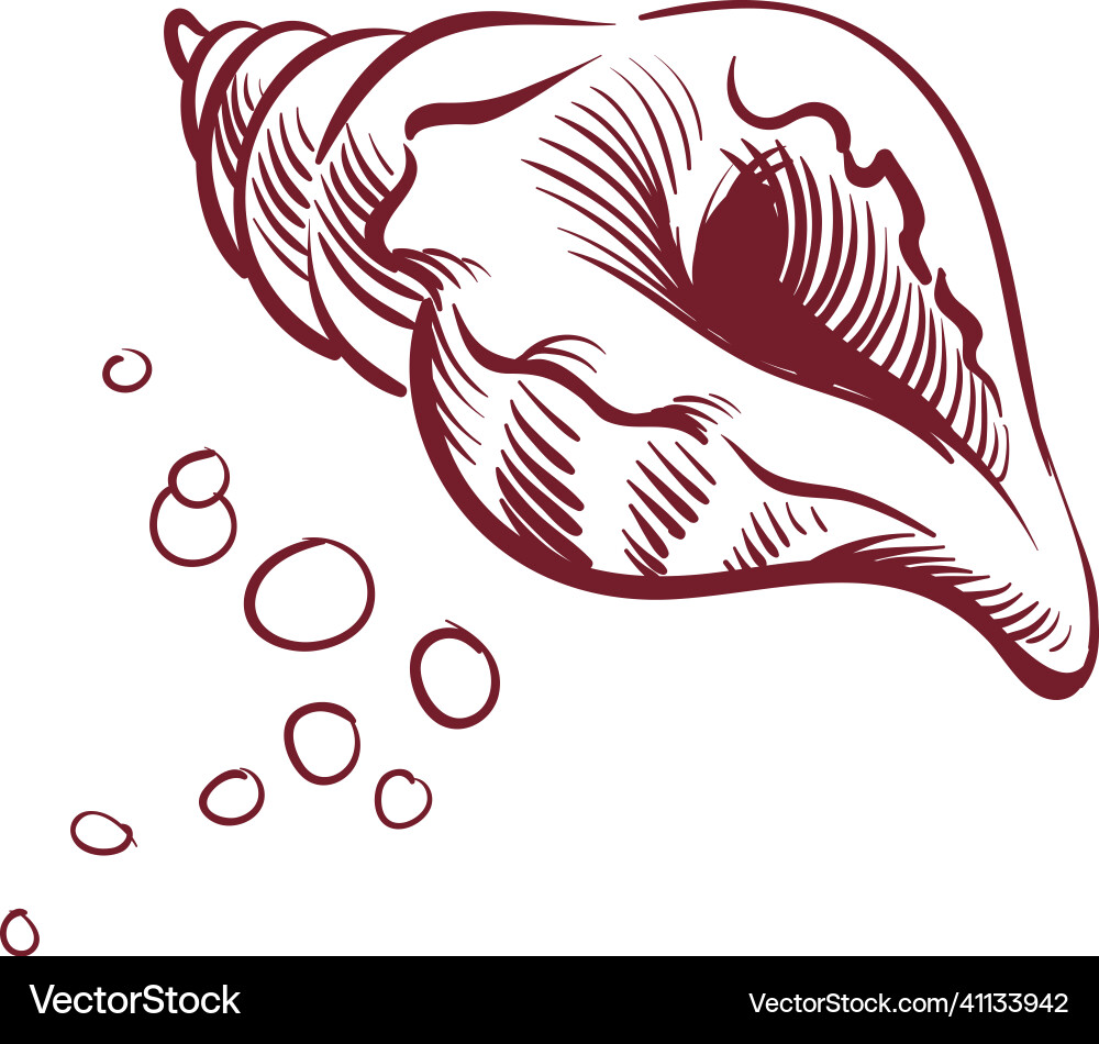 Seashell sketch ink line style mollusk conch Vector Image