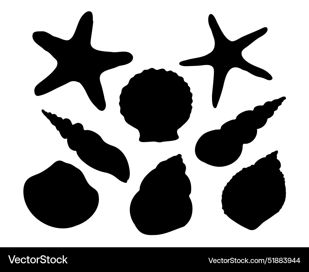 A set of seashell silhouette Royalty Free Vector Image