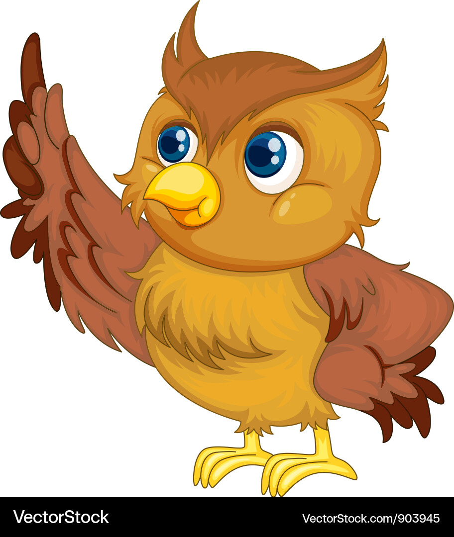 Cartoon Owl Portrait Royalty Free Vector Image