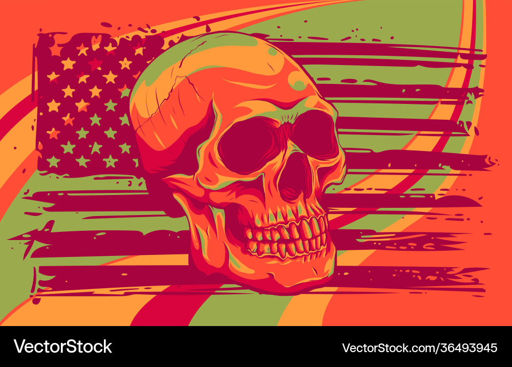 Skull and flag usa design Royalty Free Vector Image