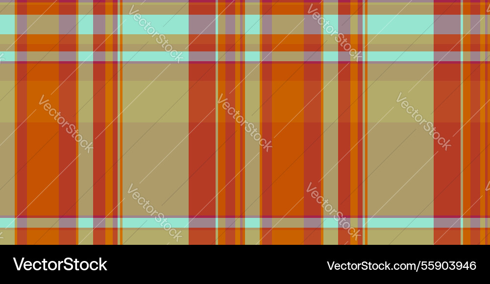 Diagonal pattern textile background teen tartan Vector Image