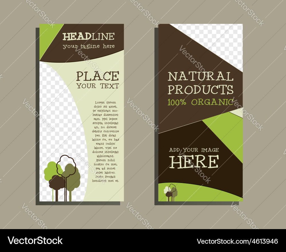 Organic brochure template Royalty Free Vector Image