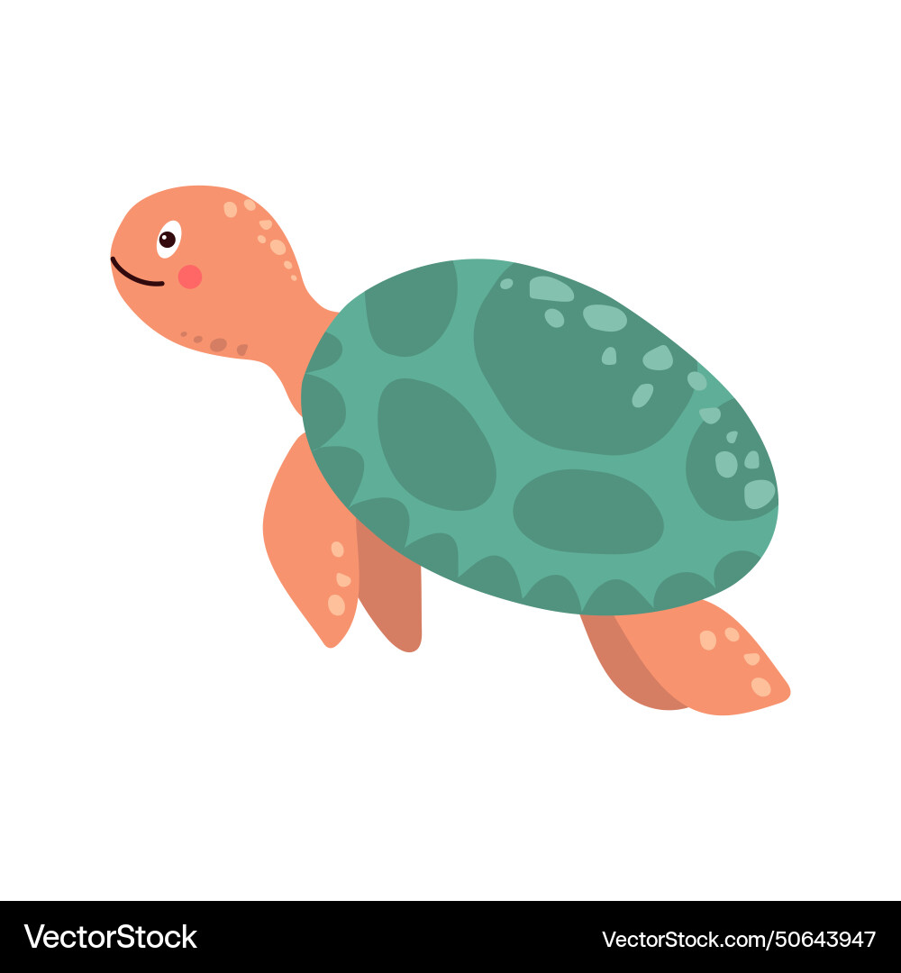 Cute aquatic turtle Royalty Free Vector Image - VectorStock