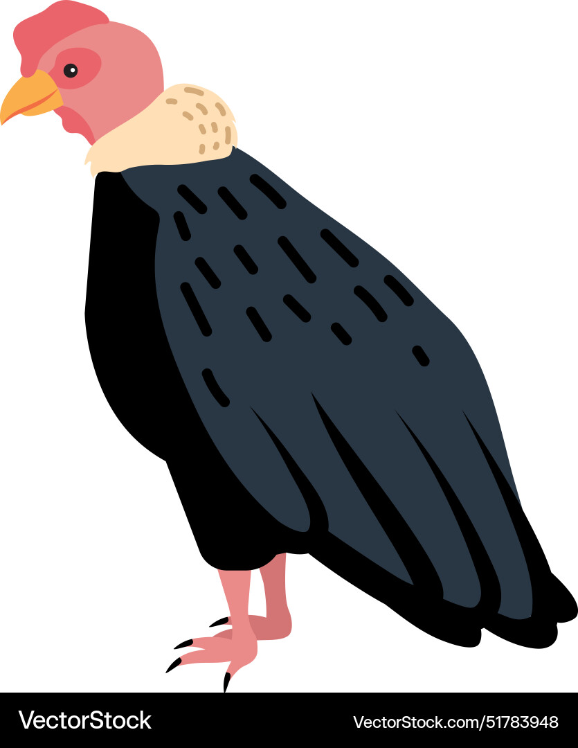 Andean condor bird cartoon Royalty Free Vector Image