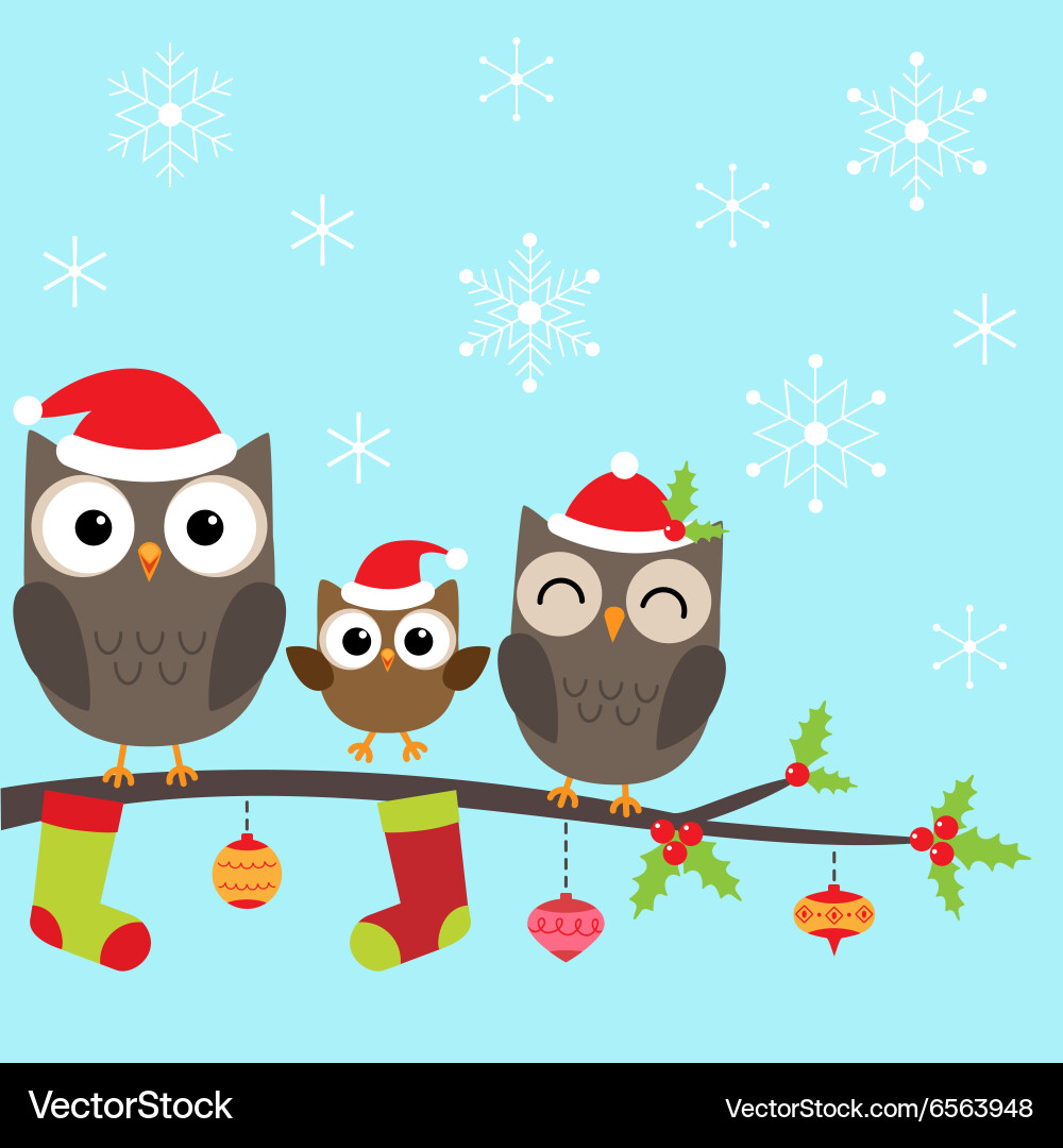 Christmas family of owls Royalty Free Vector Image