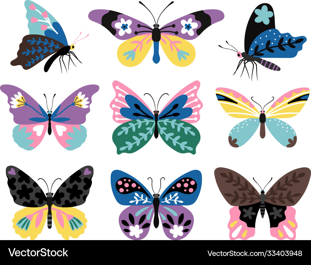 Color drawing butterfly set Royalty Free Vector Image