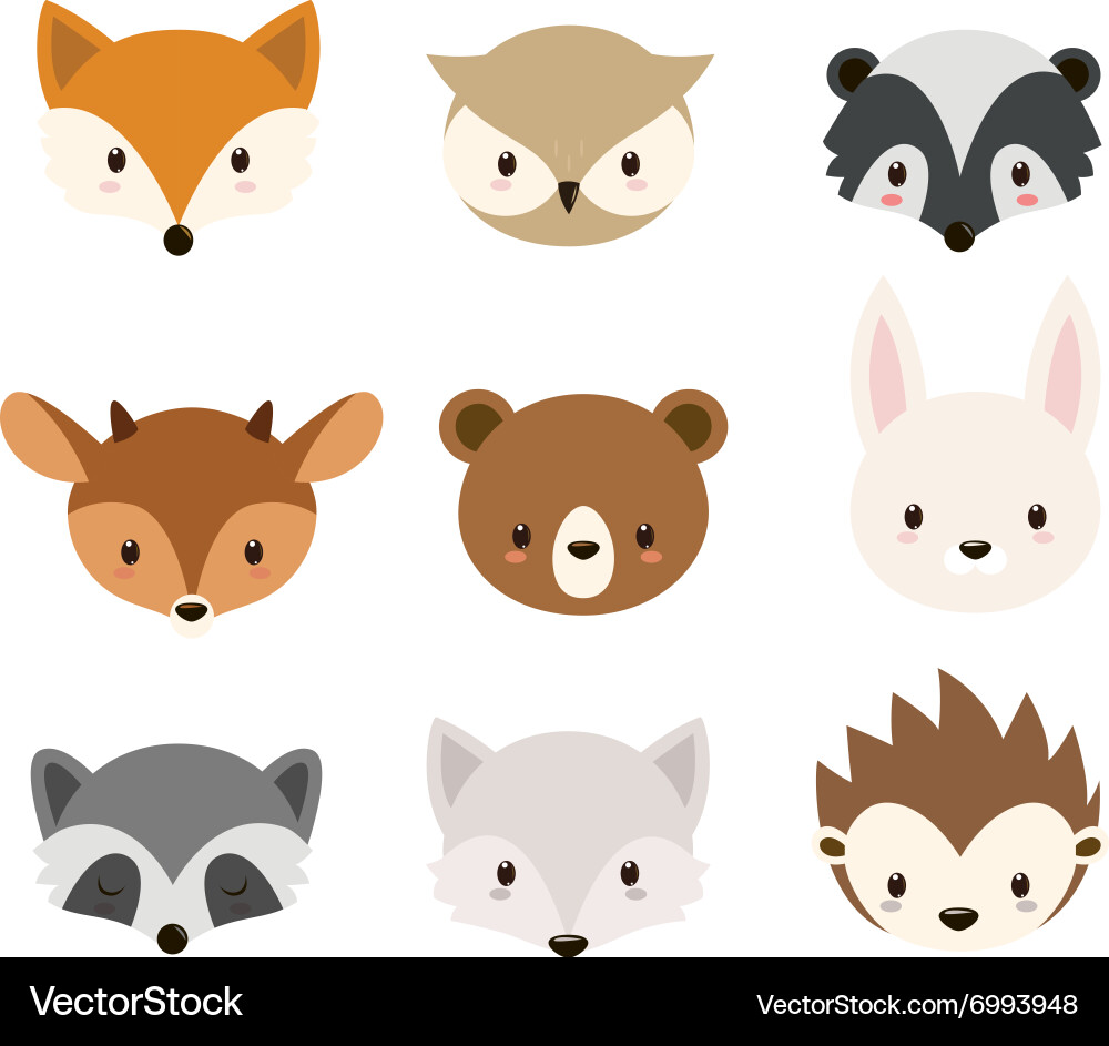 Cute woodland animals collection Royalty Free Vector Image