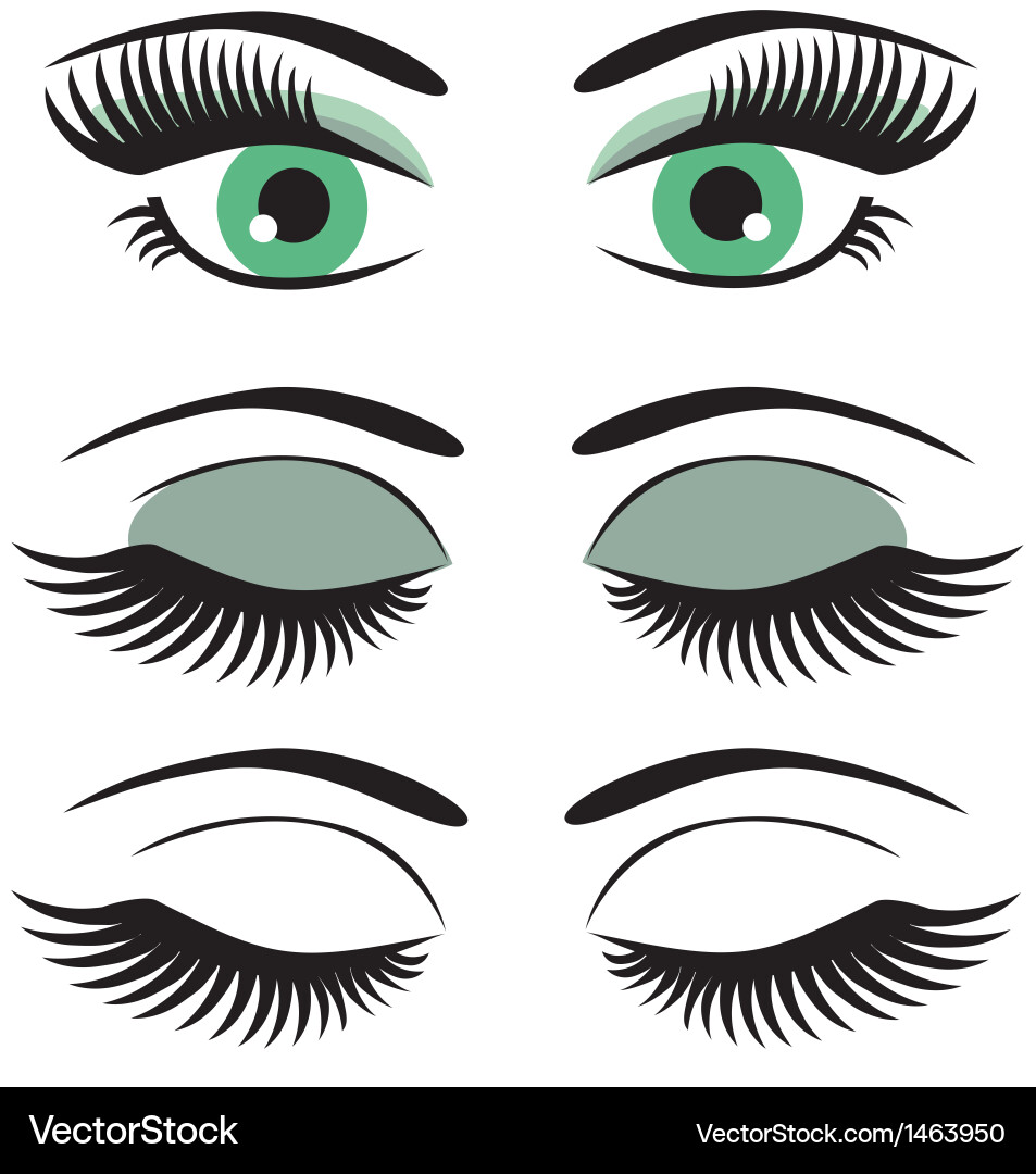 Green eyes Royalty Free Vector Image - VectorStock