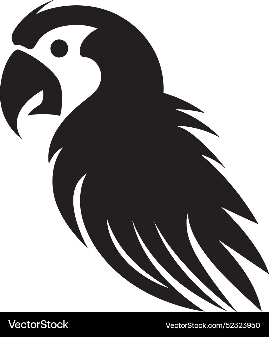 Sleek parrot sketch refined artistrychic Vector Image
