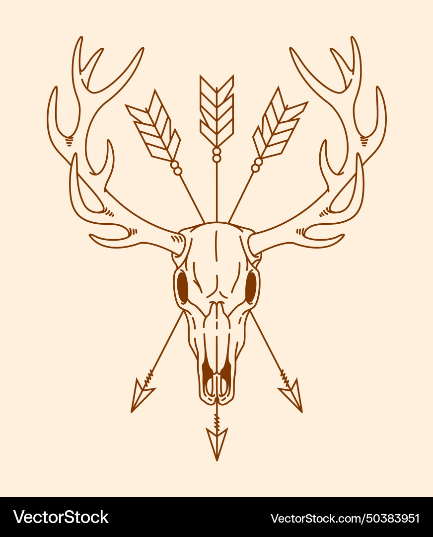 Deer skull line art Royalty Free Vector Image - VectorStock
