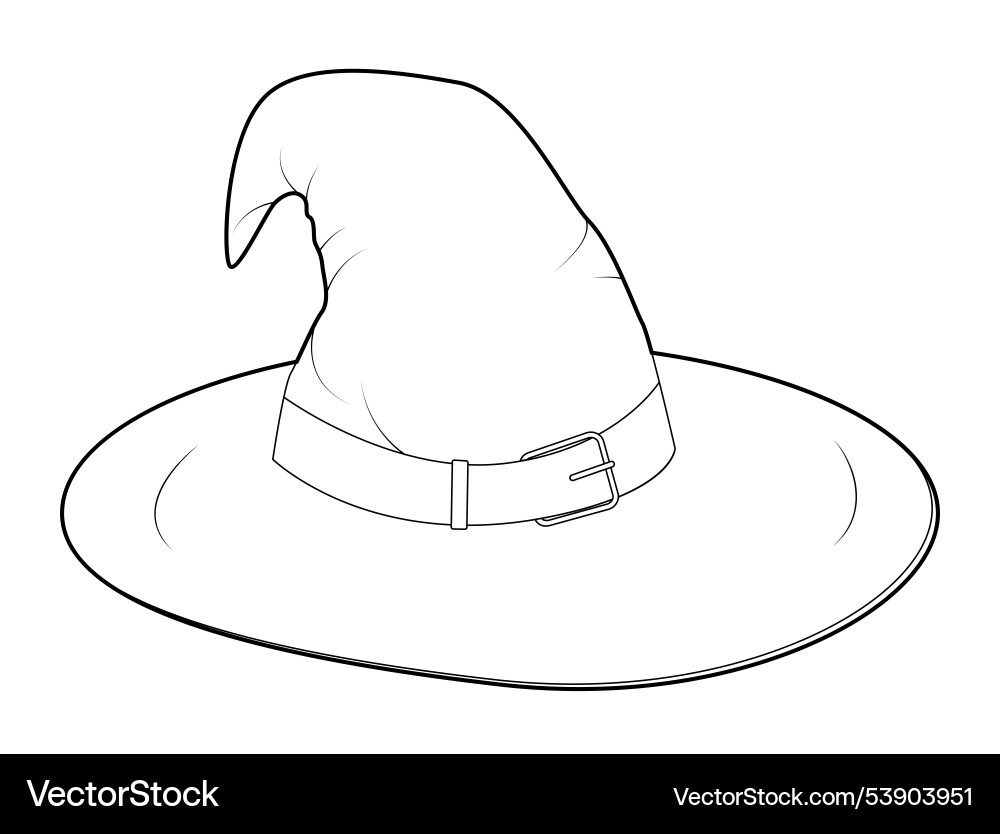 Wizard hat magic head fashion accessory cap Vector Image