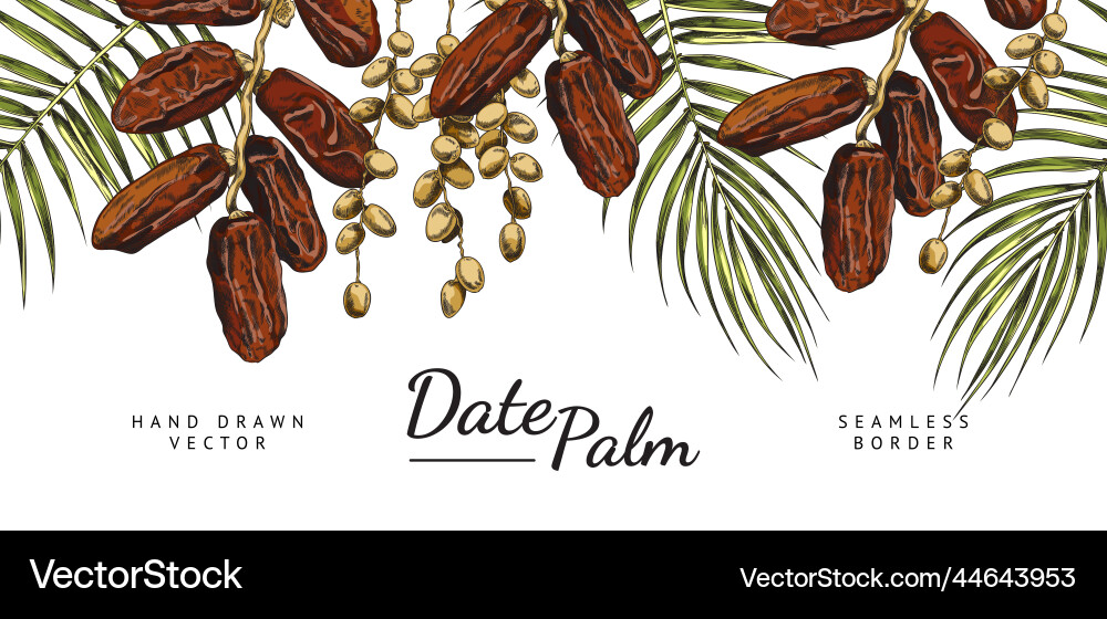 Date palm seamless border hand drawn sketch Vector Image