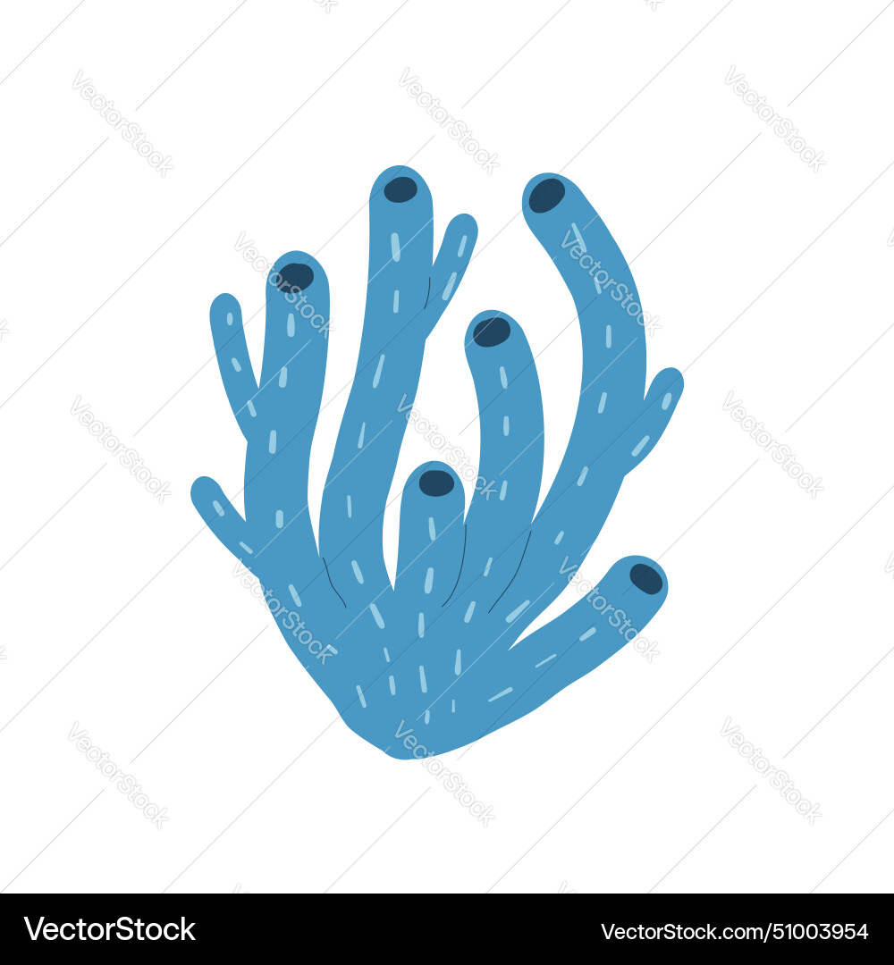 Coral reef isolated on white background sea Vector Image