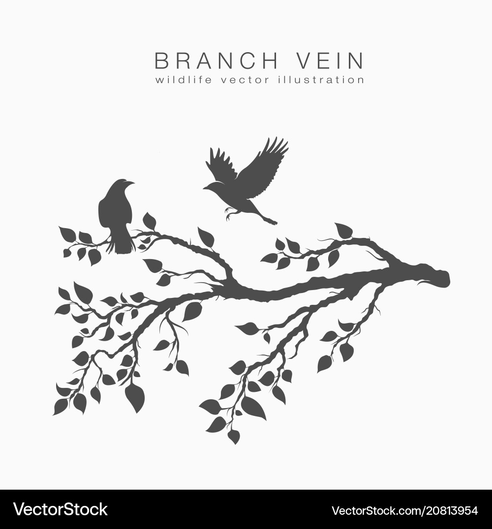 Flock of flying birds on tree branch with leafs Vector Image