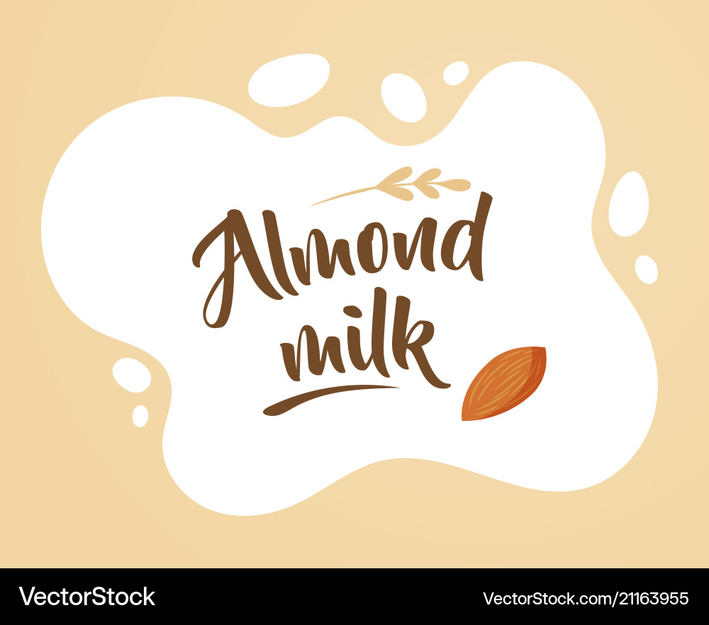 Almond milk design elements Royalty Free Vector Image